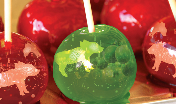 ADM launches new sweetening feed solutions for piglets - Feed ...