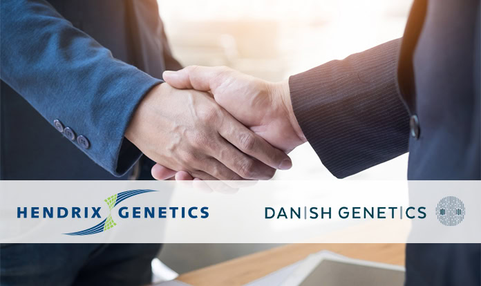 Hendrix Genetics completes merger of Hypor with Danish Genetics - Feed ...