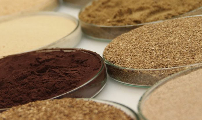 Ittinsect rebrands to reflect expanded operations - Feed & Additive ...